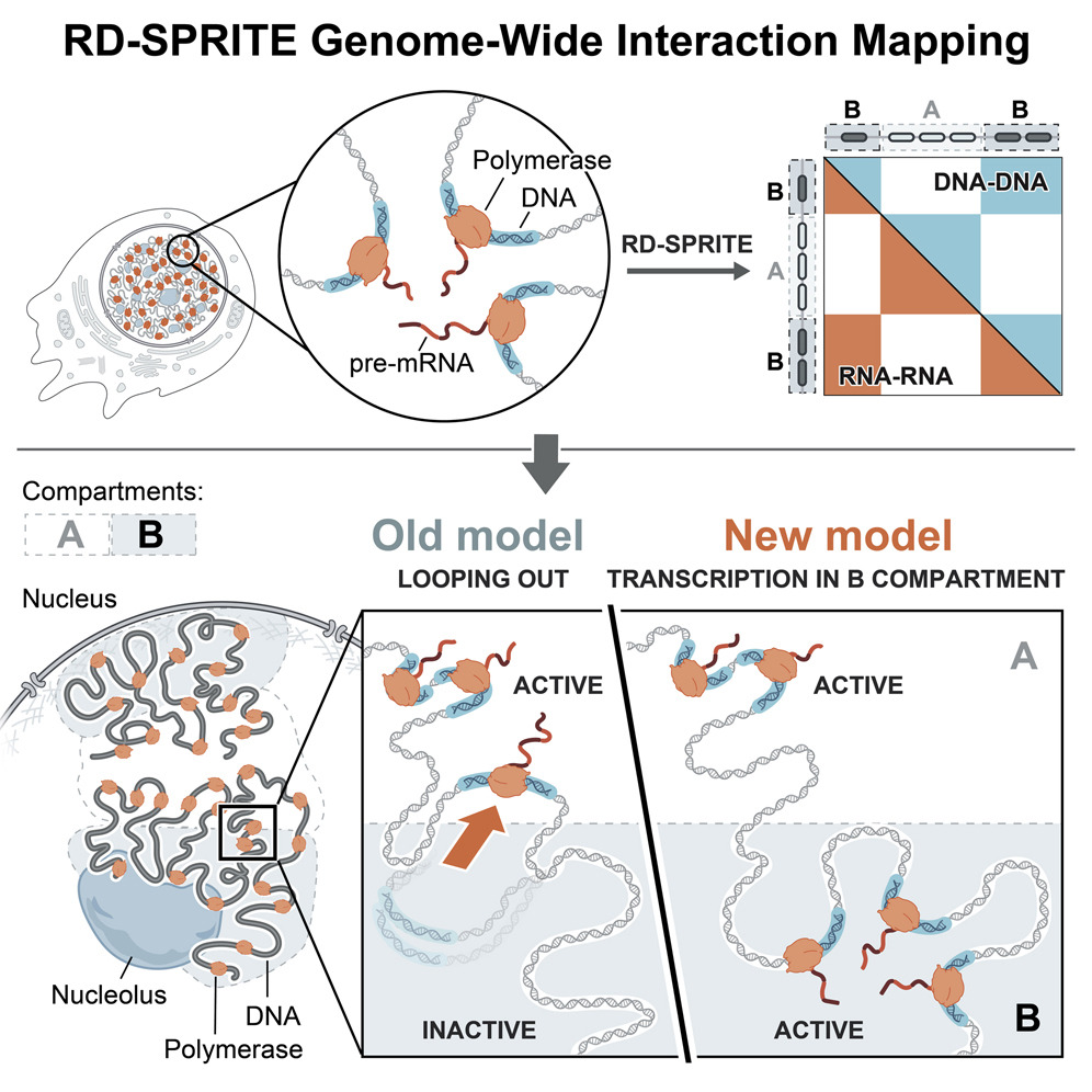 Publications | Guttman Lab at Caltech